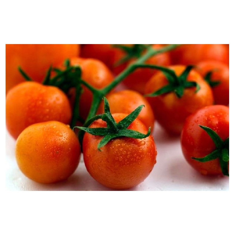 Small Cherry Tomato Seeds